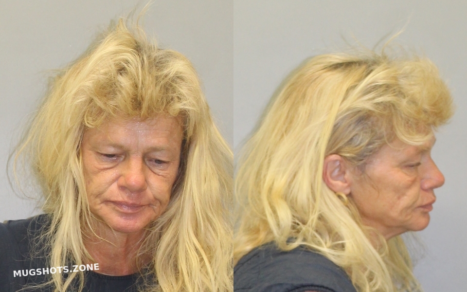 BRIDGES ANGELA LYNN 11/23/2022 - Wise County Mugshots Zone