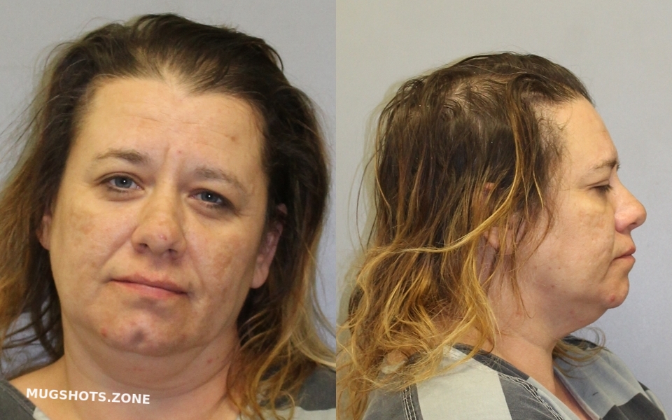 HANLIN BRANDY MICHELLE 01/03/2024 - Wise County Mugshots Zone