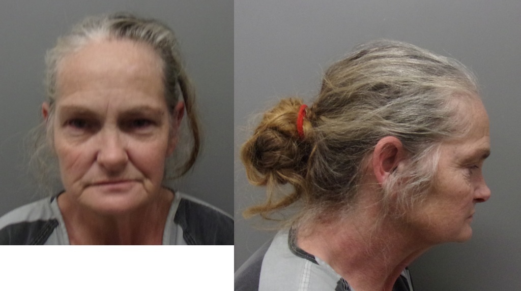 SANDERS SHELLEY RENAE 01/24/2024 - Wise County Mugshots Zone