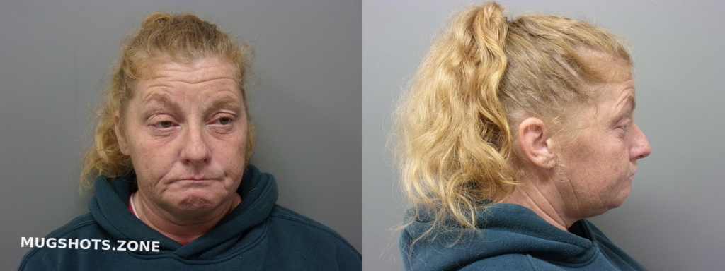 ROE CAROL ANN 01/25/2024 - Wise County Mugshots Zone