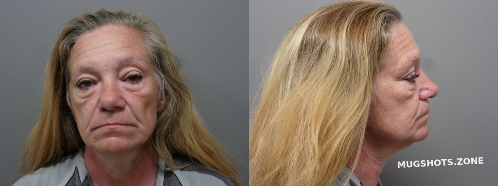 GARRETT LISA MICHELLE 03/24/2024 - Wise County Mugshots Zone