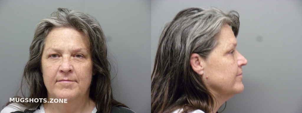 BASKIN JENNIFER RENAE 04/23/2024 - Wise County Mugshots Zone