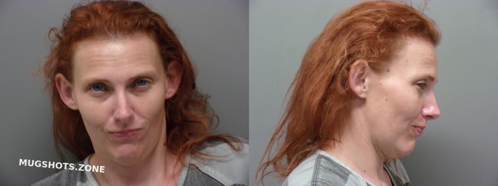 DYER ERICA JEAN 05/26/2024 - Wise County Mugshots Zone