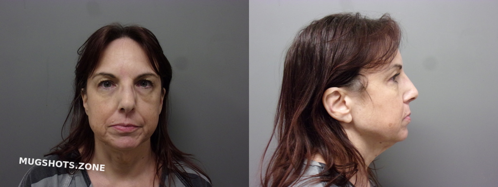 AINSLEY JESSICA MARIE 06/13/2024 - Wise County Mugshots Zone