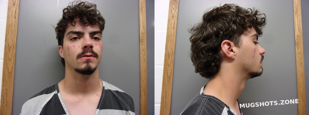 NICHOLS GAVIN TINSLEY 06/16/2024 - Wise County Mugshots Zone