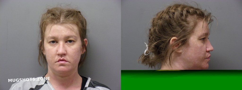 ANTHONY AMY NICOLE 06/22/2024 - Wise County Mugshots Zone