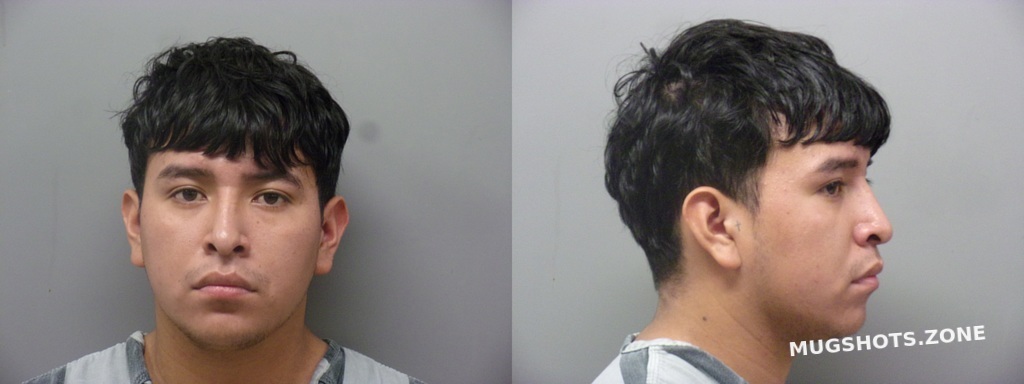 PEREZ MEJIA LESTER 07/04/2024 - Wise County Mugshots Zone