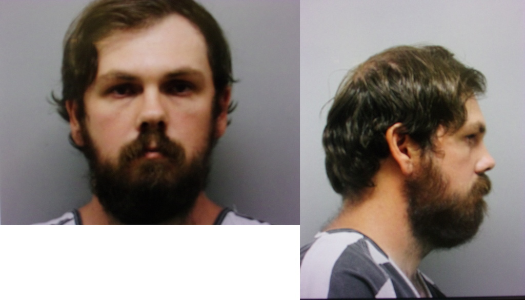 GREEN LOGAN ZANE 08/22/2024 - Wise County Mugshots Zone