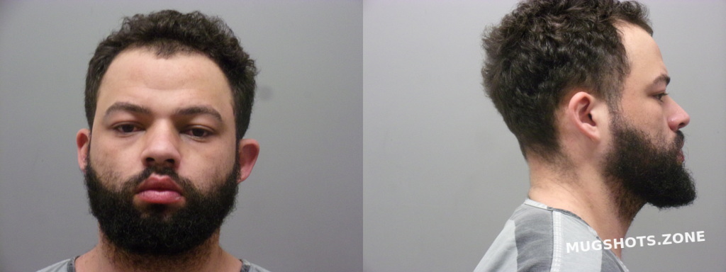 WEATHERLY CAMERON REESE 12/29/2024 - Wise County Mugshots Zone