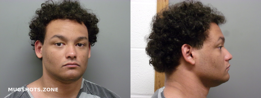 RIGGINS MARCUS NOAH 01/29/2025 - Wise County Mugshots Zone