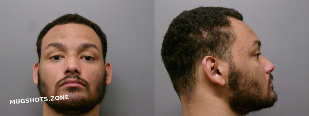 RIGGINS MARCUS NOAH 04/17/2025 - Wise County Mugshots Zone