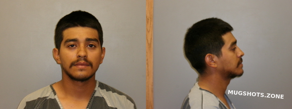 HERRERA ANTHONY SAUL 10/27/2025 - Wise County Mugshots Zone