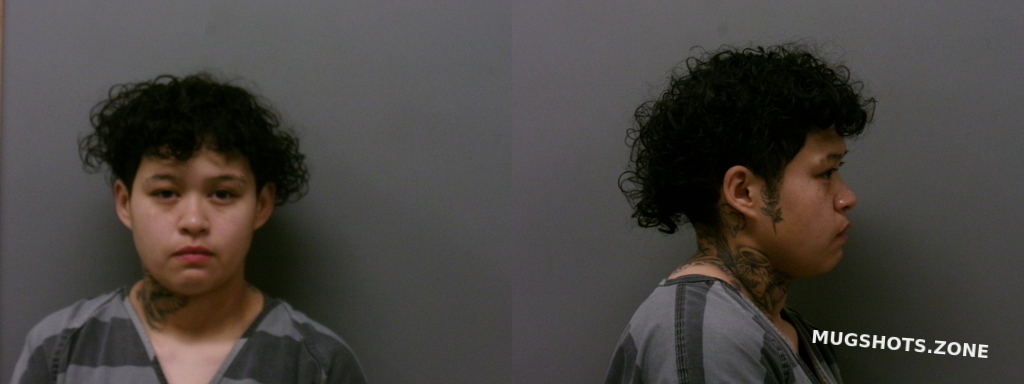 SANCHEZ ROSE MARIE 11/28/2025 - Wise County Mugshots Zone