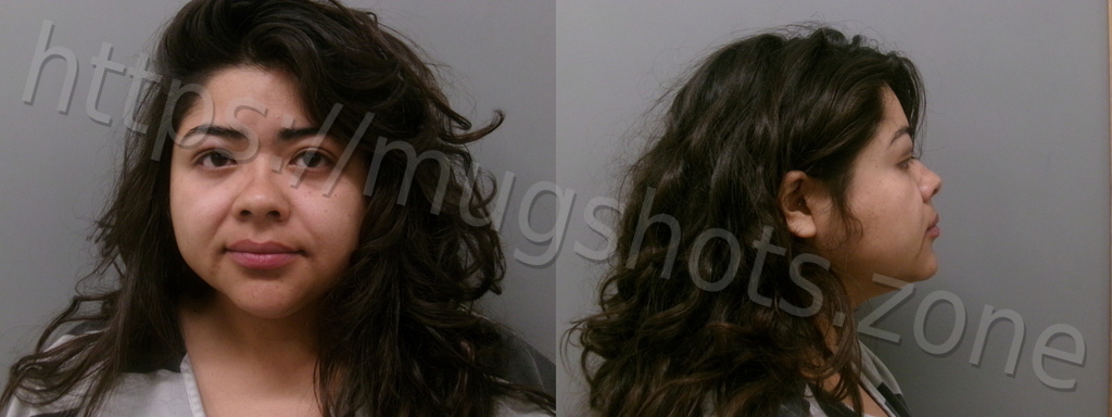 RODRIGUEZ DAPHNE MICHELLE 04/04/2026 - Wise County Mugshots Zone