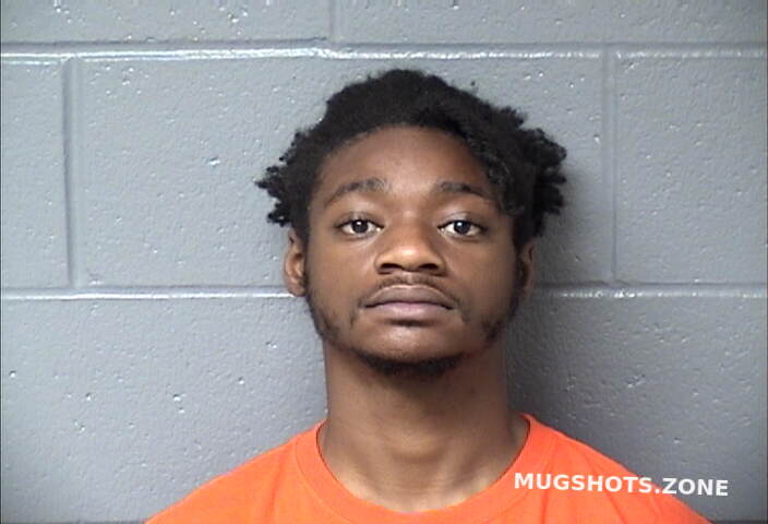 YOUNG AUSTIN J 06/02/2025 - Woodford County Mugshots Zone