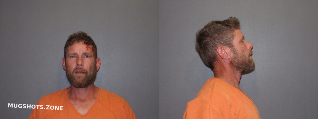 KING DAVID LEE 04/03/2023 - Wood County Mugshots Zone