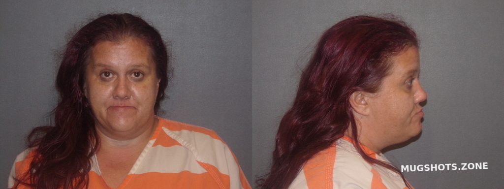 JOHNSTON KAYCE LADOYCE 04/09/2023 - Wood County Mugshots Zone