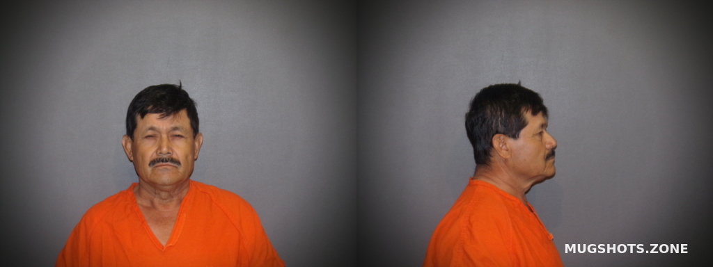 DANIEL RAMIREZ DIAZ 04/02/2024 - Wood County Mugshots Zone