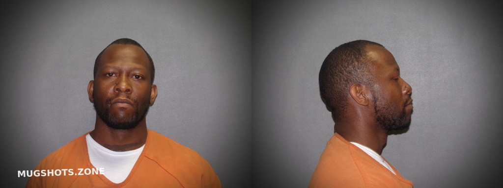 CHRISTIAN REGINALD DEMAR 05/30/2024 - Wood County Mugshots Zone