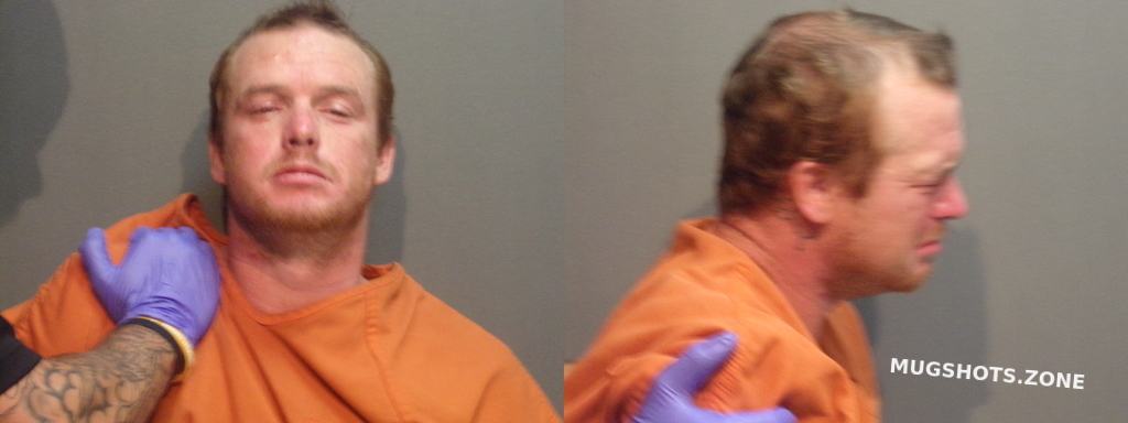 LINZ THOMAS ALLEN BERNARD 06/12/2024 - Wood County Mugshots Zone