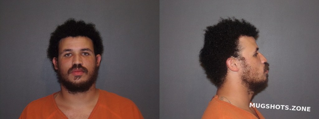 LOCKWOOD JARED THOMAS WAYNE 07/12/2024 - Wood County Mugshots Zone