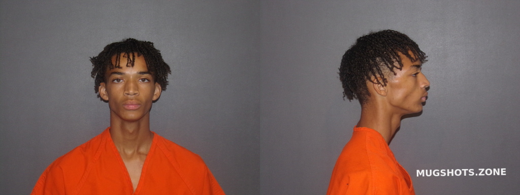 BROWN CALVIN LEWIS JR. 07/12/2024 - Wood County Mugshots Zone