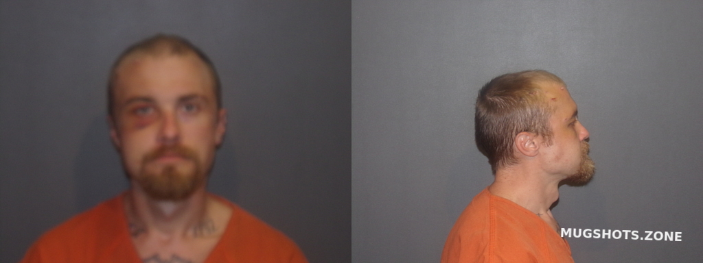HAAS AARON CASEY 07/29/2024 - Wood County Mugshots Zone