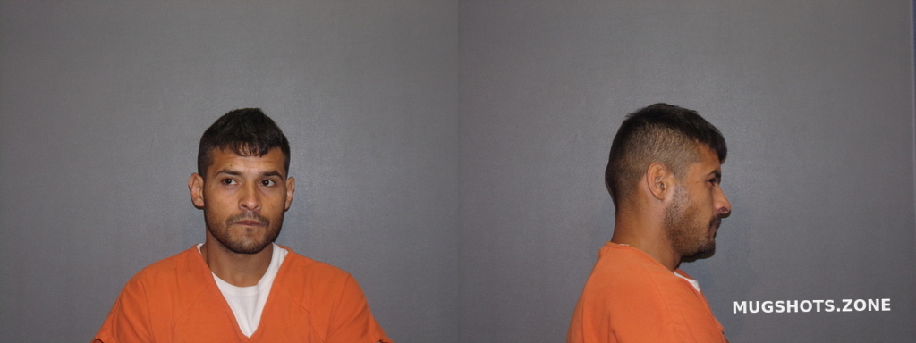 PENA MARIO AUGUSTIN 08/29/2024 - Wood County Mugshots Zone