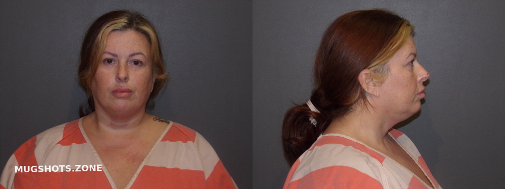 COOK SHELLEY RENE 09/26/2024 - Wood County Mugshots Zone