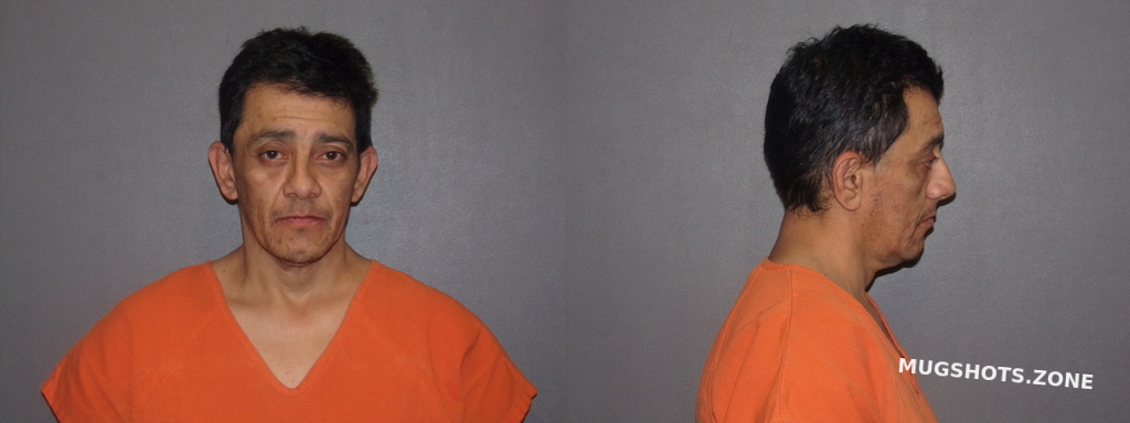 GALAZ JUAN CARLOS 01/25/2025 - Wood County Mugshots Zone