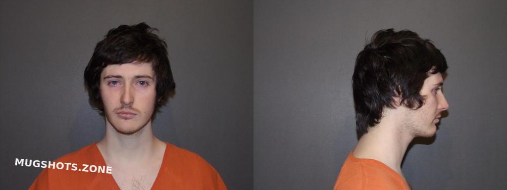 LAND ROLAND MATTHEW 02/21/2025 - Wood County Mugshots Zone