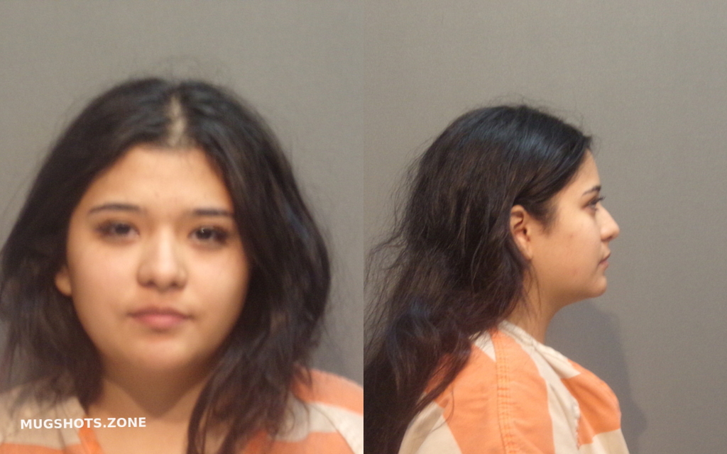 REYNA JACQUELINE 11/16/2025 - Wood County Mugshots Zone