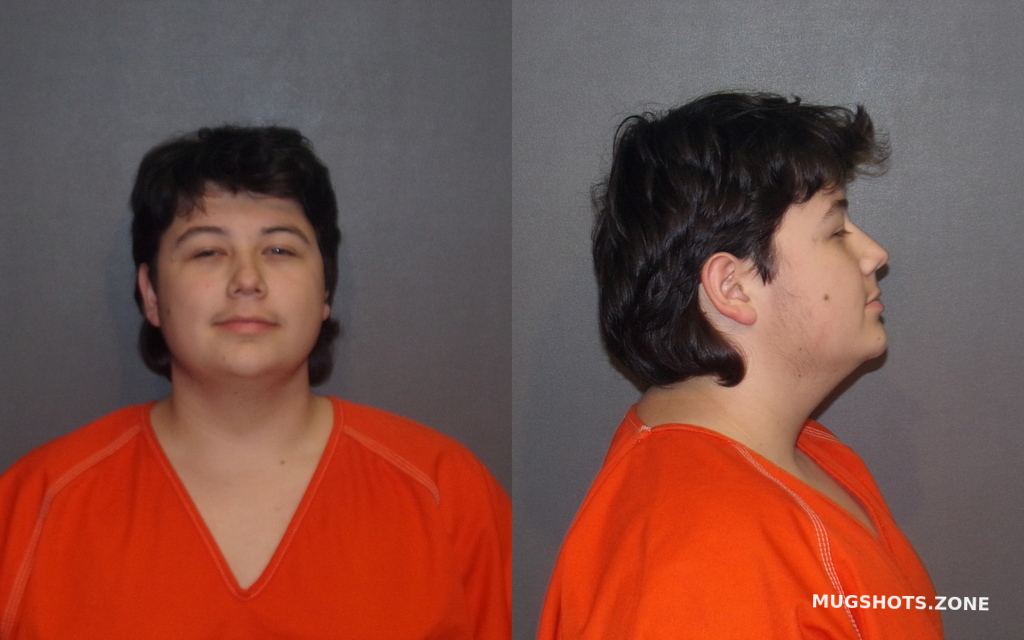 BRANDON CHRISTOPHER LEE 01/02/2026 - Wood County Mugshots Zone