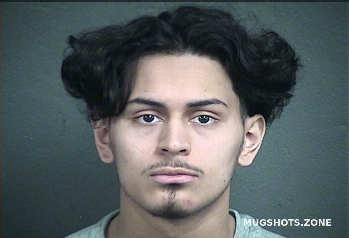 VILLALOBOS-REYES ALEXIS RICARDO 02/23/2024 - Wyandotte County Mugshots Zone