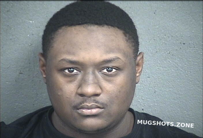 ADAMS MICHAEL JR 11/14/2024 - Wyandotte County Mugshots Zone
