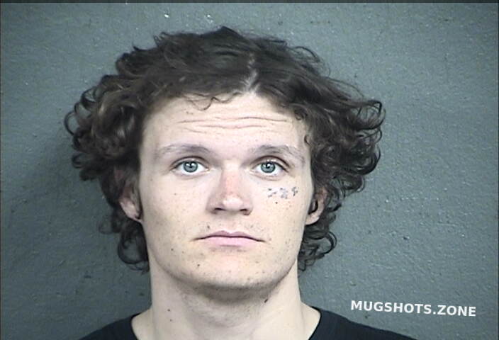 DEVAULT BRYCE JASPER 11/17/2024 - Wyandotte County Mugshots Zone