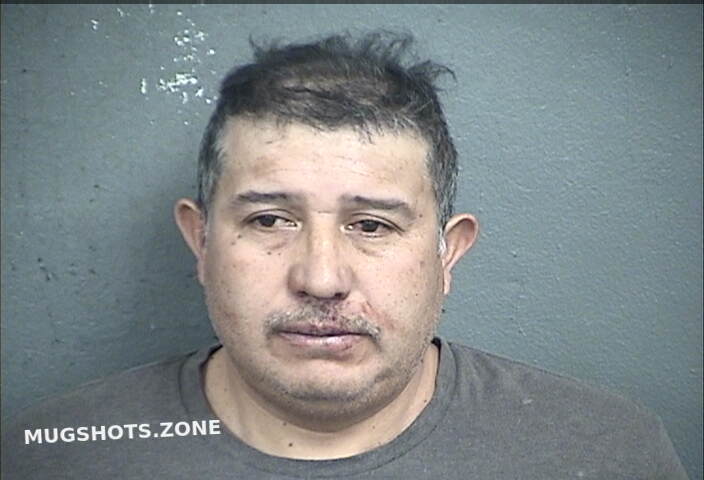 DE LA ROSA RAMOS RAMON 02/01/2025 - Wyandotte County Mugshots Zone