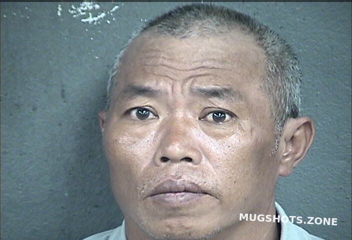 LING VAN KUNG 04/28/2025 - Wyandotte County Mugshots Zone