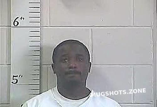 HAYNES CHANTEL 01/29/2024 - Yazoo County Mugshots Zone