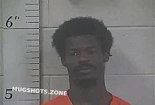 REED BLAKE RAPHEAL 08/29/2024 - Yazoo County Mugshots Zone